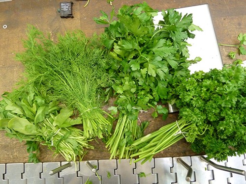 Binding / Labelling Lines