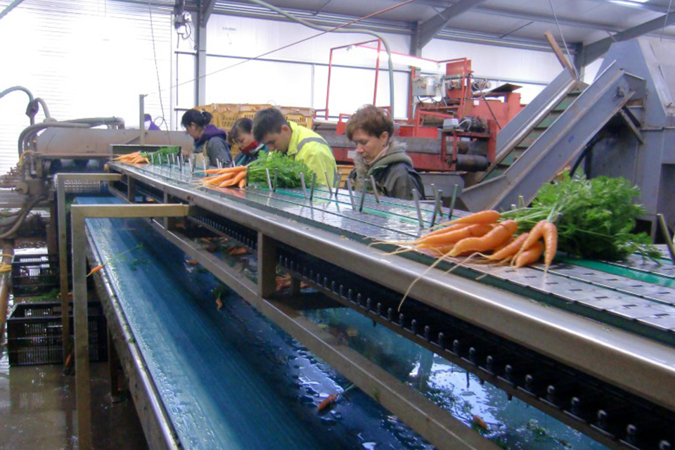 Binding / Labelling Lines