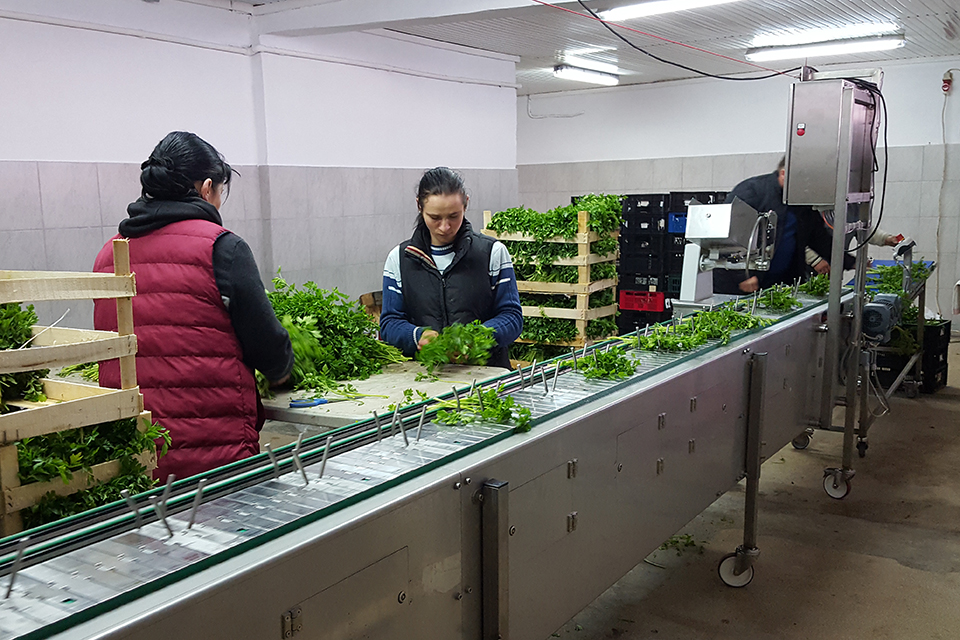 Binding / Labelling Lines