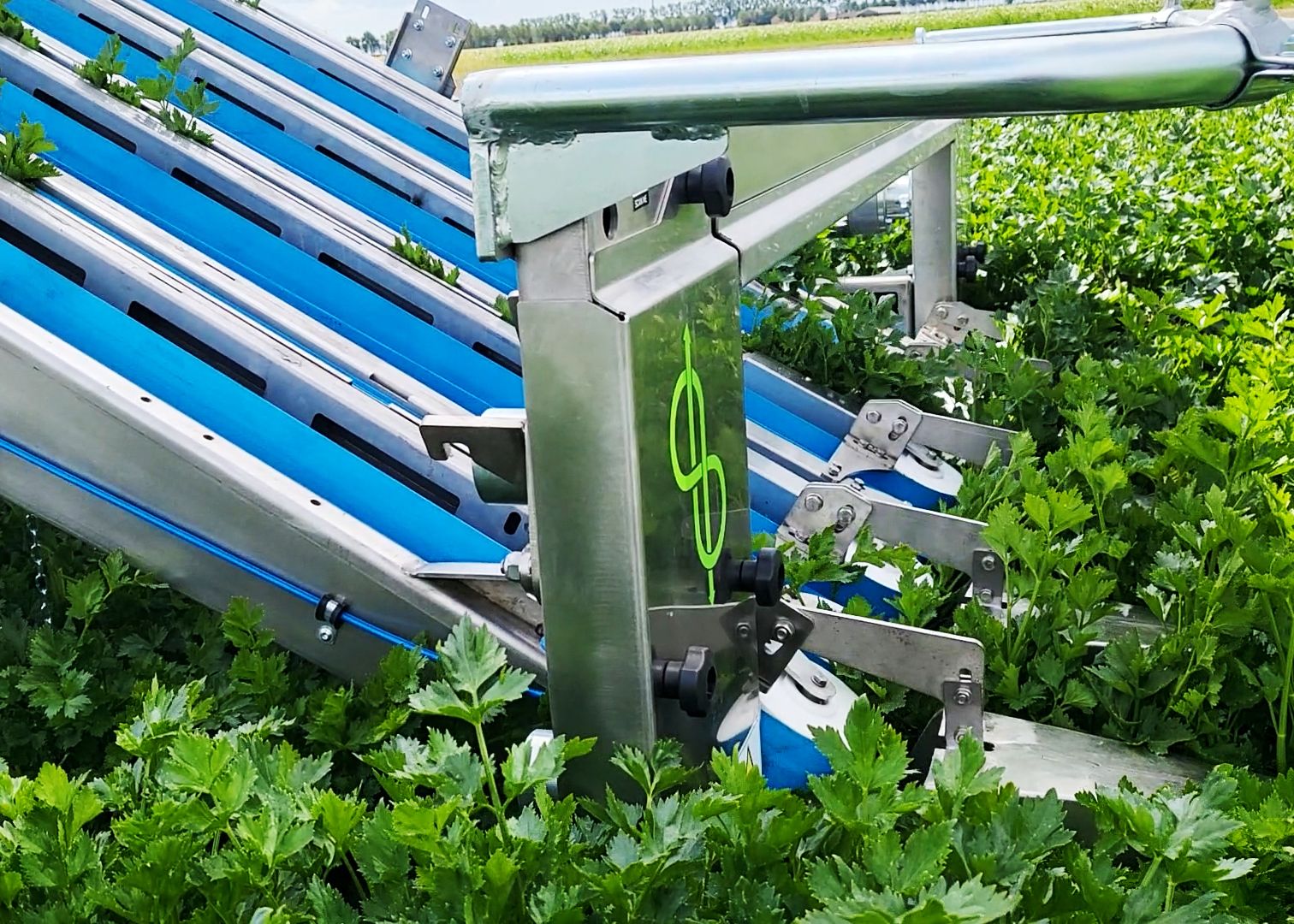 Compact harvesters for leafy vegetables with a perfect result