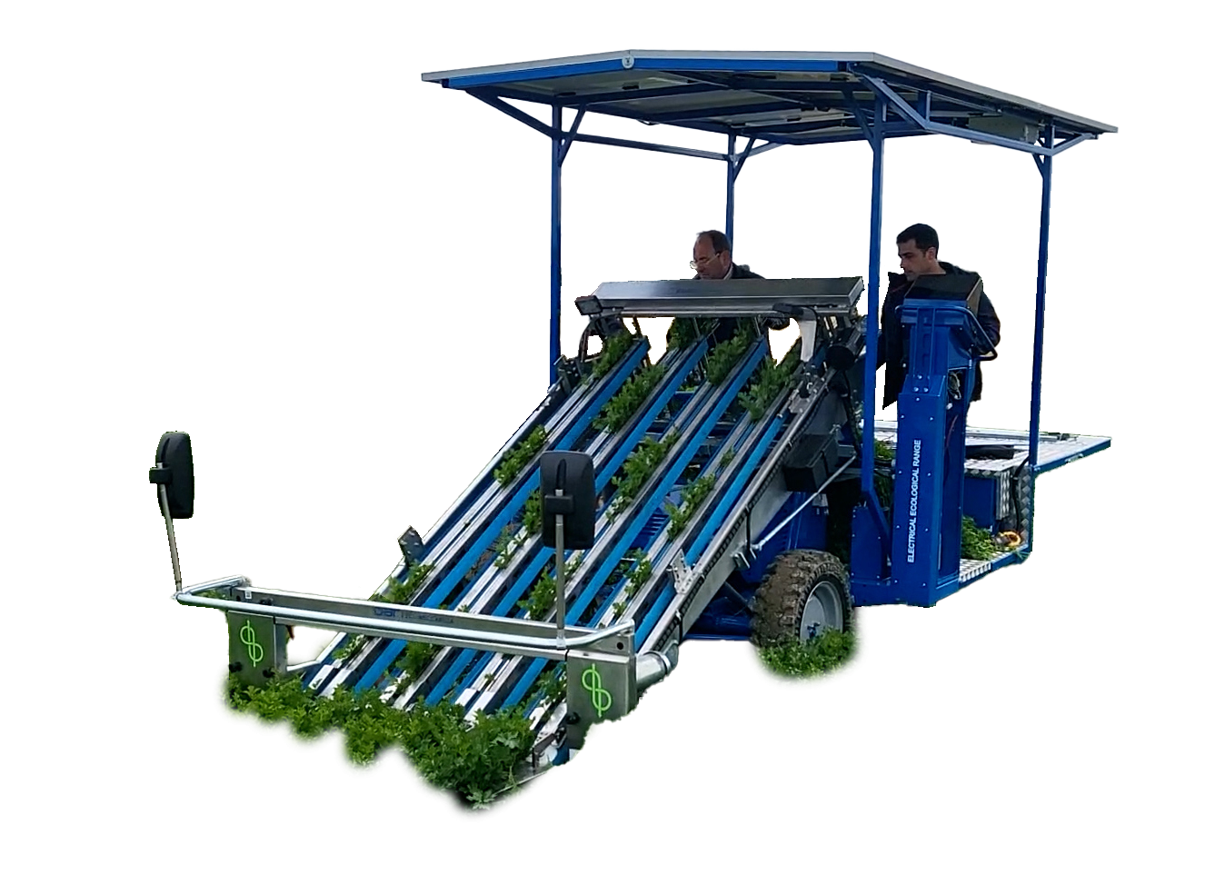 Compact harvesters for leafy vegetables with a perfect result