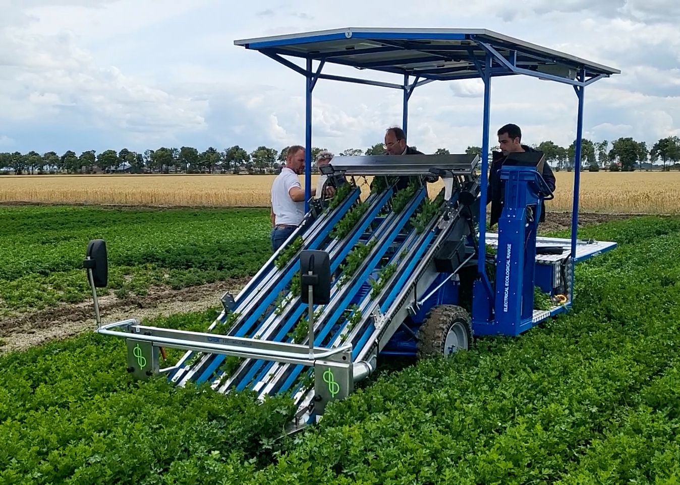Compact harvesters for leafy vegetables with a perfect result