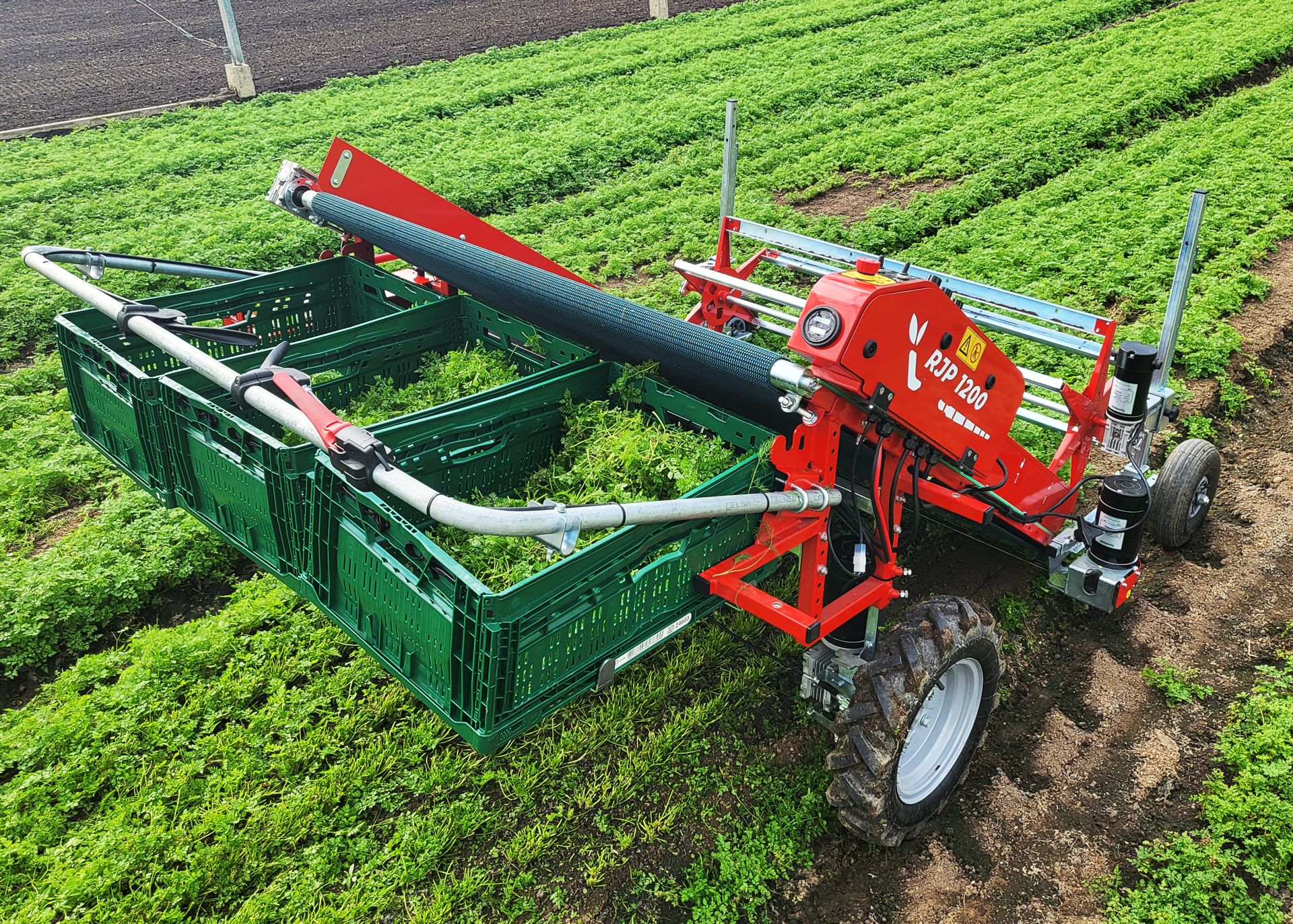 Compact harvesters for leafy vegetables with a perfect result
