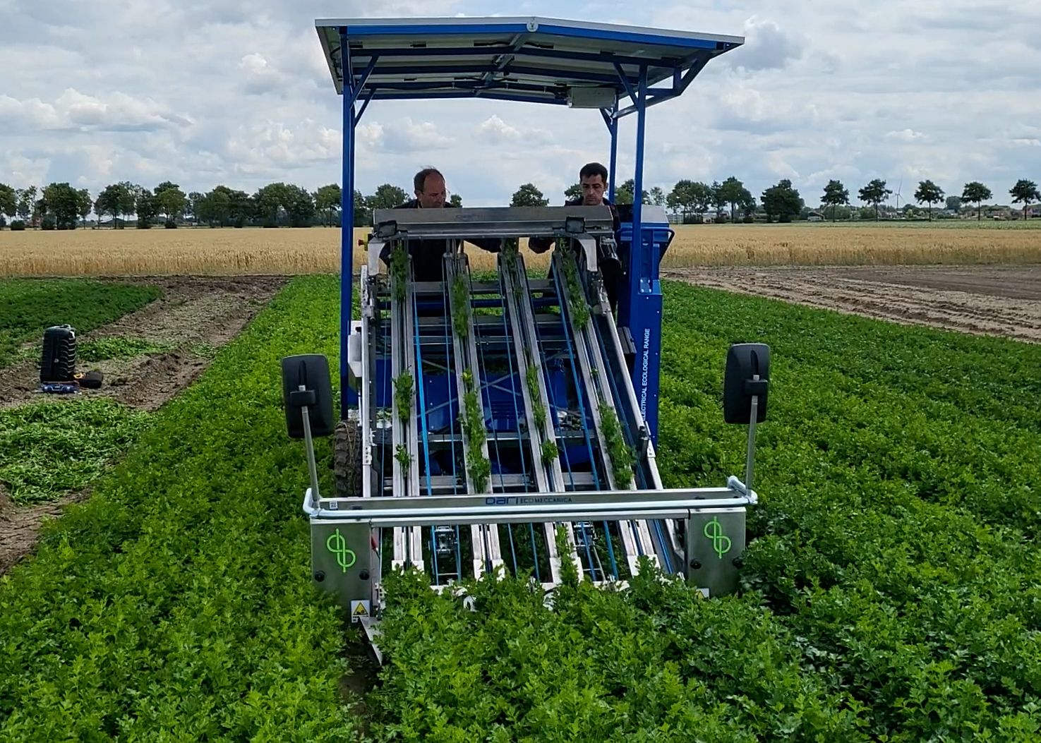 Compact harvesters for leafy vegetables with a perfect result