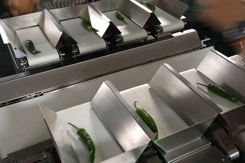 Optimal weight: Combination weighers with fast ROI