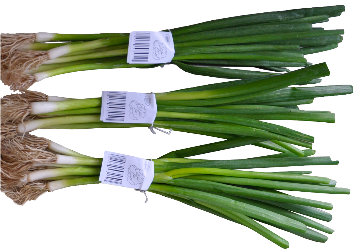 Perfect bundling & labeling of vegetables and herbs